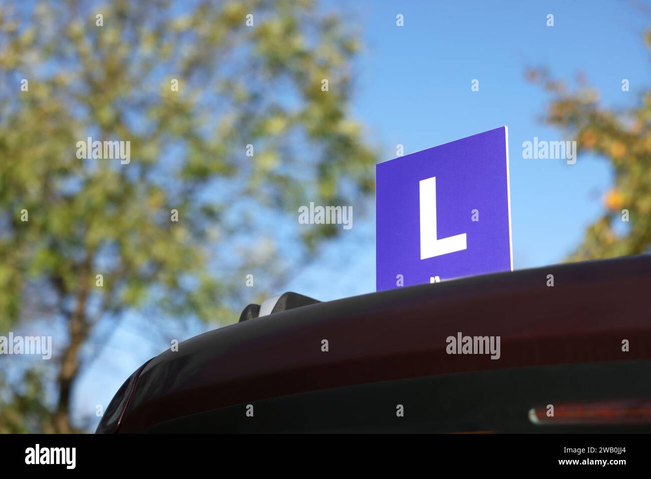 L-plate on car outdoors, low angle view with space for text. Driving ...