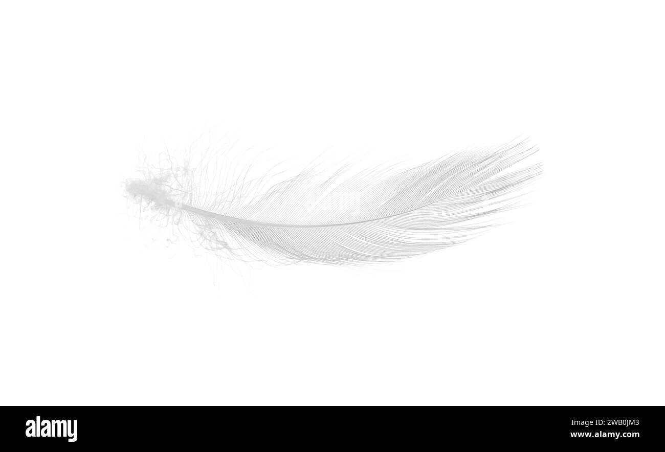 Beautiful fluffy bird feather isolated on white Stock Photo - Alamy
