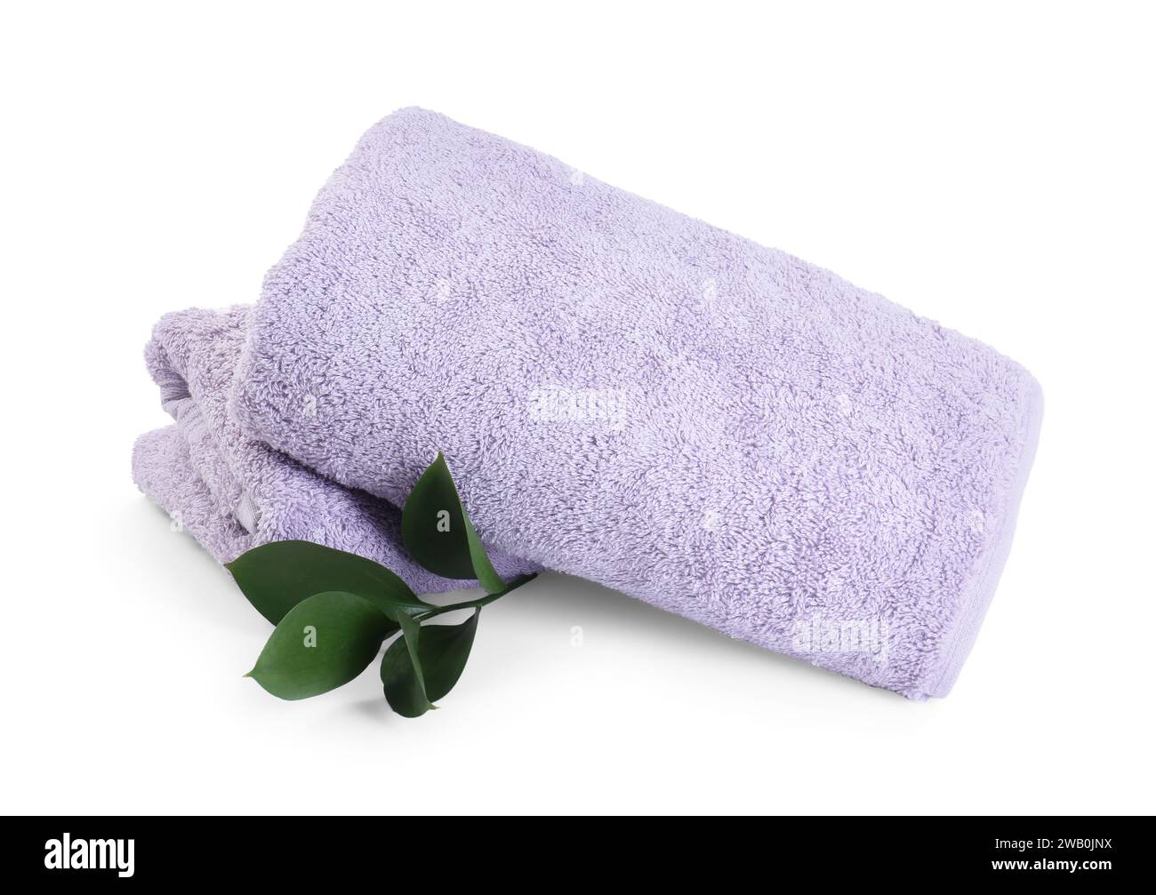 Tidy leaves Cut Out Stock Images & Pictures - Alamy