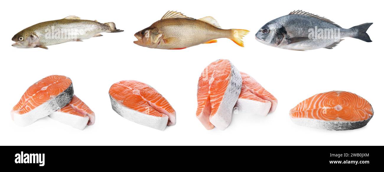 Different types of raw fish isolated on white, set Stock Photo - Alamy