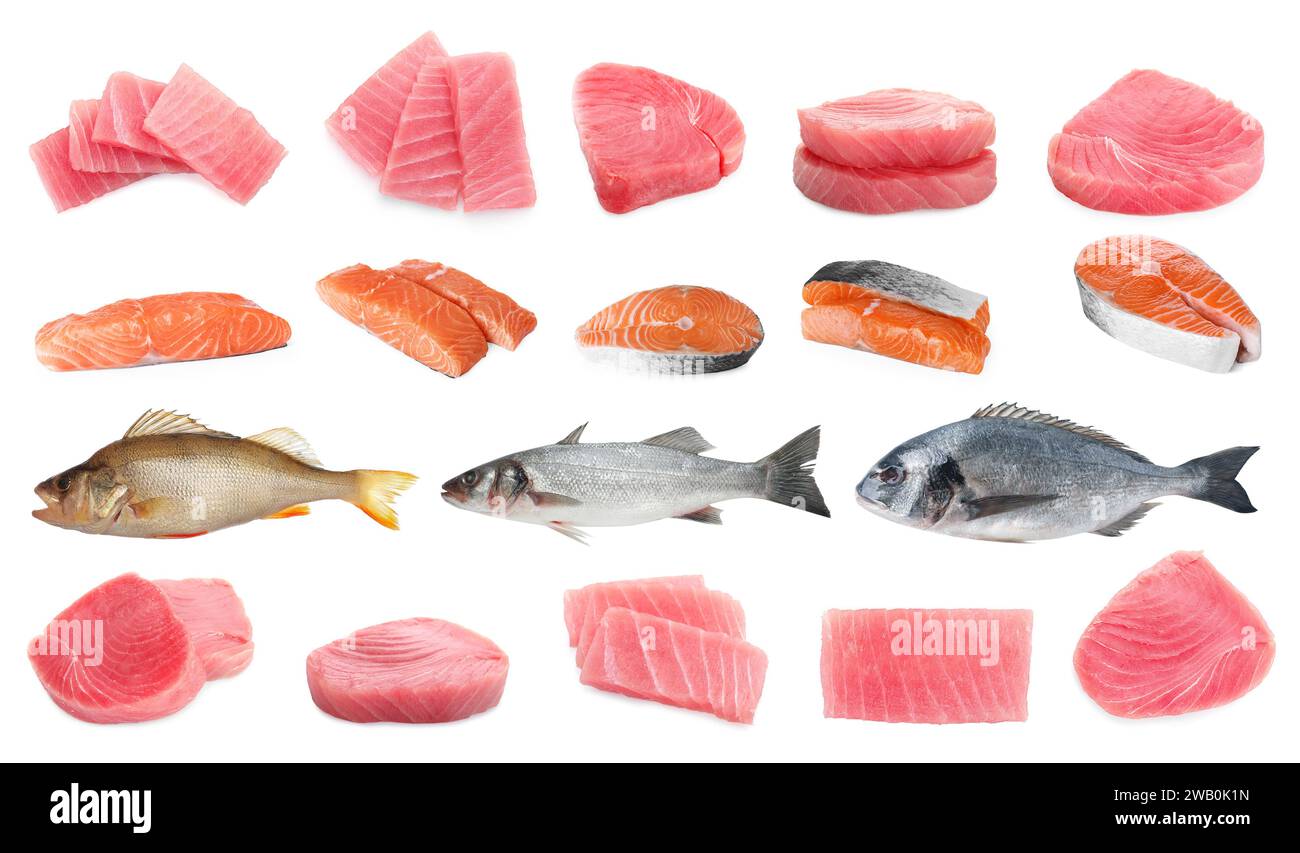 Different types of raw fish isolated on white, set Stock Photo - Alamy