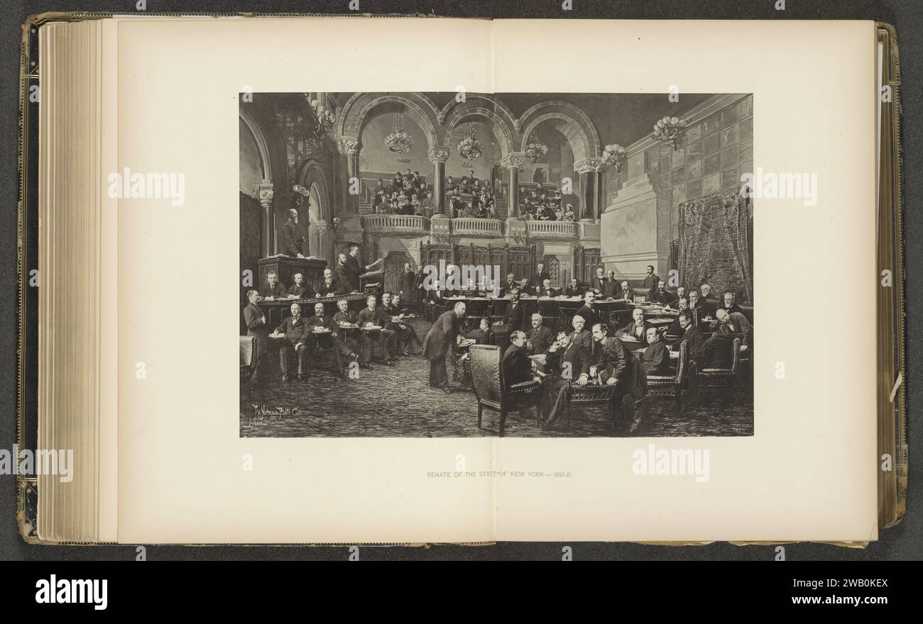 Senate of the state of New York, in or after 1880 - in or before 1881 ...