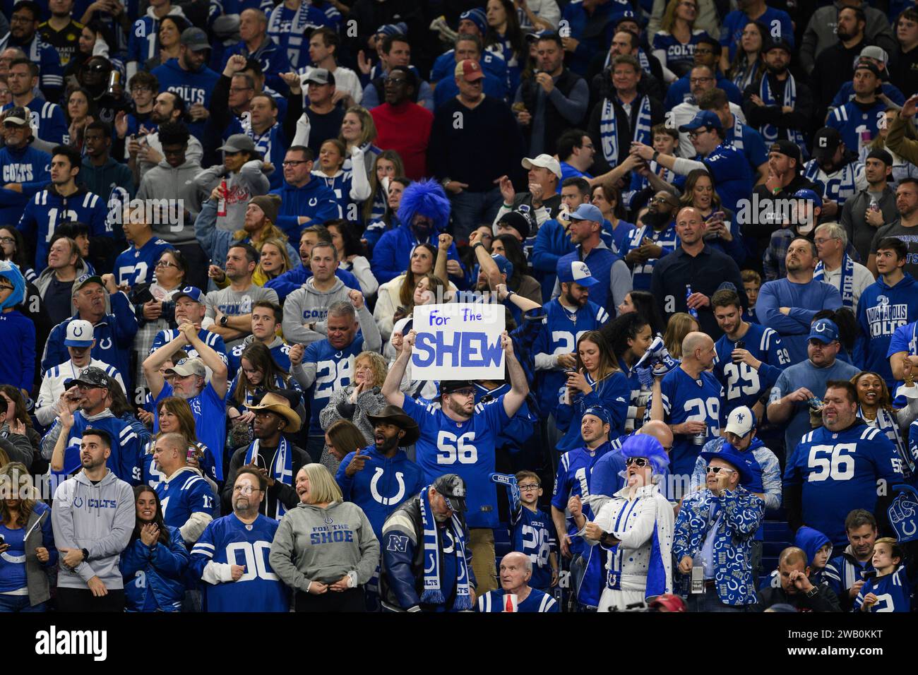 Indianapolis Colts fan hold a sign up in the stands for Indianapolis ...
