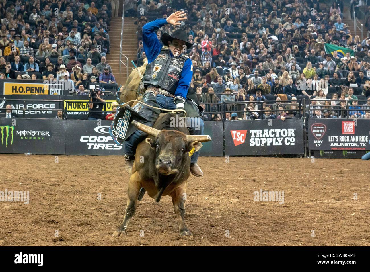 New York, New York, USA. 6th Jan, 2024. (NEW) 2024 Professional Bull ...