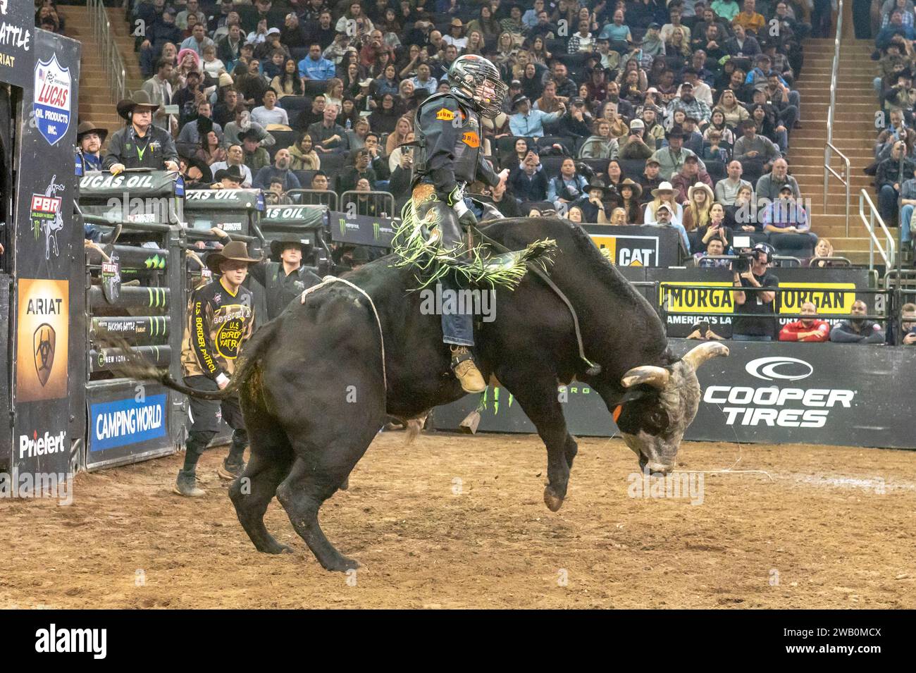 New York, New York, USA. 6th Jan, 2024. (NEW) 2024 Professional Bull ...