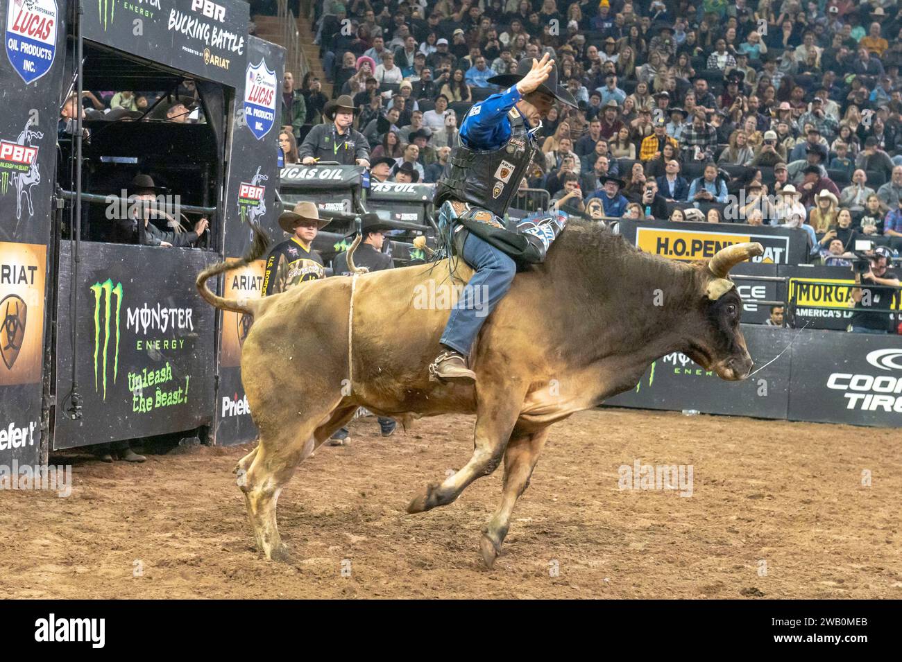 New York, New York, USA. 6th Jan, 2024. (NEW) 2024 Professional Bull ...