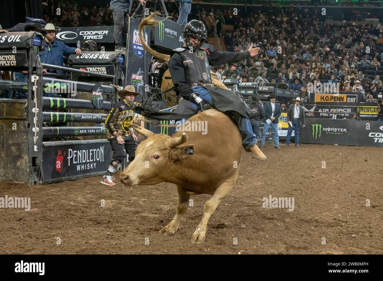New York, New York, USA. 6th Jan, 2024. (NEW) 2024 Professional Bull ...