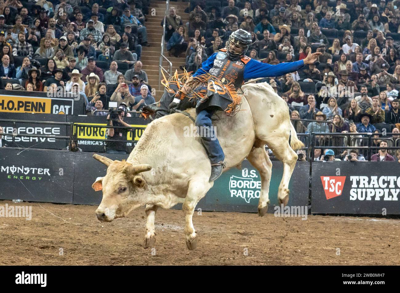 New York, New York, USA. 6th Jan, 2024. (NEW) 2024 Professional Bull ...