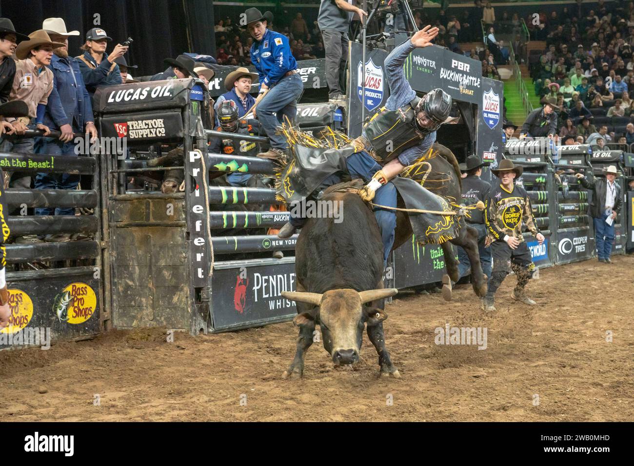 New York, New York, USA. 6th Jan, 2024. (NEW) 2024 Professional Bull ...