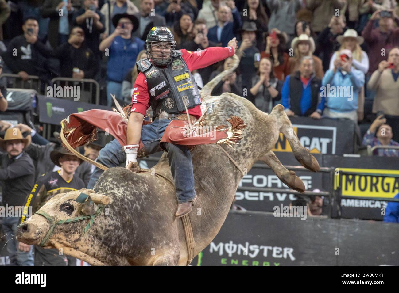 New York, New York, USA. 6th Jan, 2024. (NEW) 2024 Professional Bull ...
