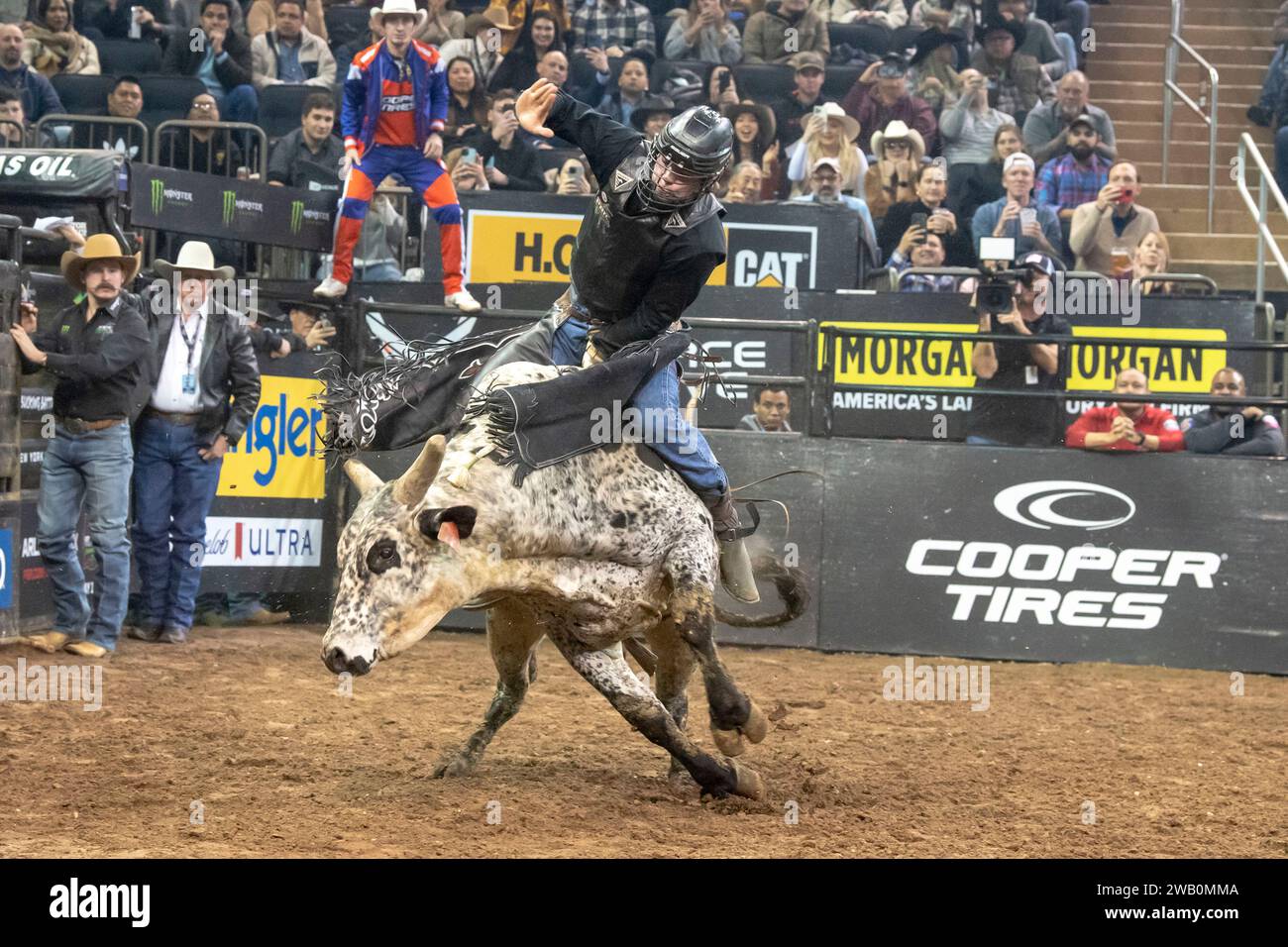 New York, New York, USA. 6th Jan, 2024. (NEW) 2024 Professional Bull ...