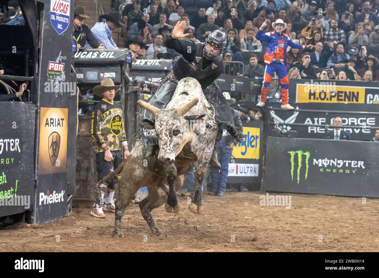 New York, New York, USA. 6th Jan, 2024. (NEW) 2024 Professional Bull ...