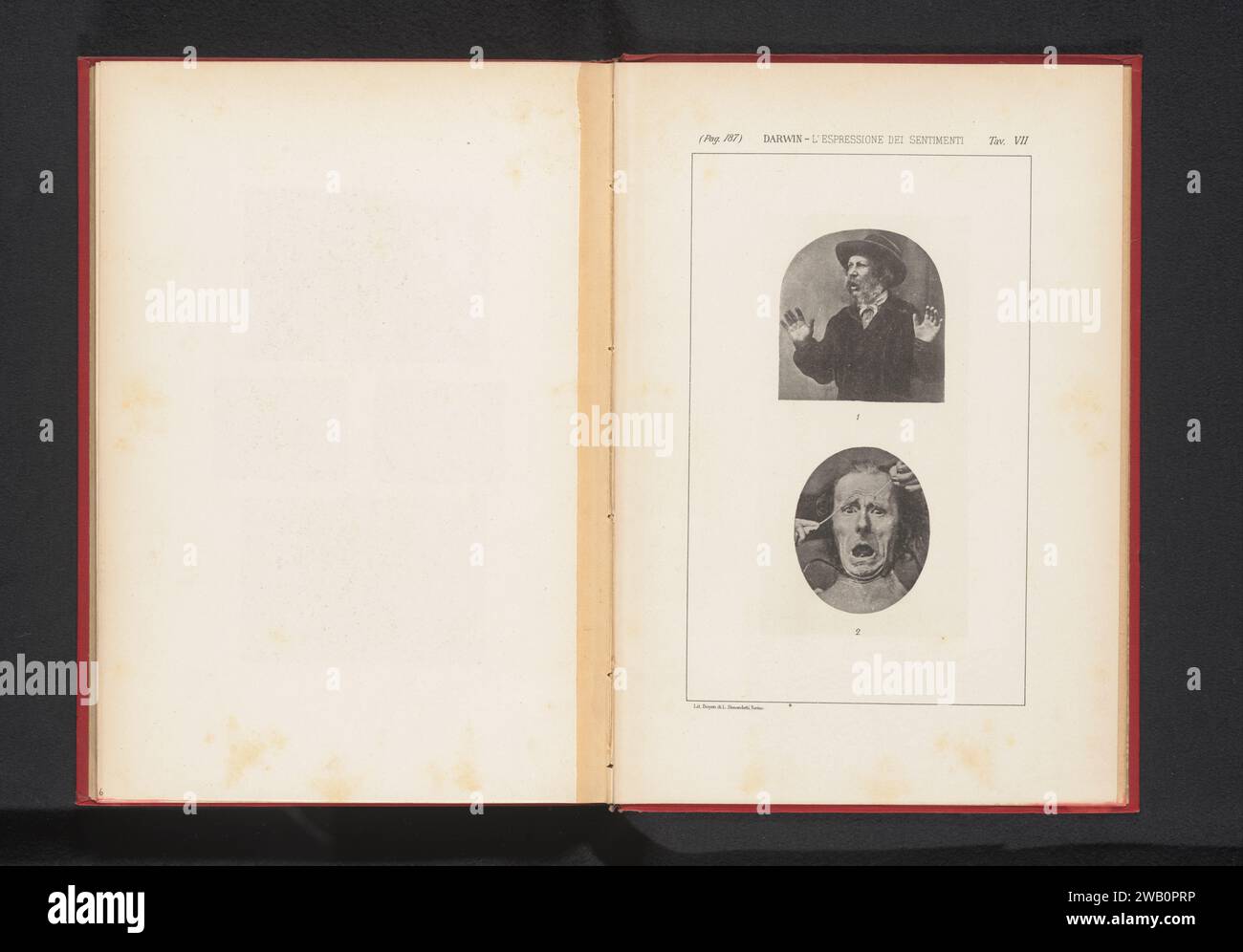 Two portraits of unknown men showing fear, anonymous, c. 1880 - in or ...