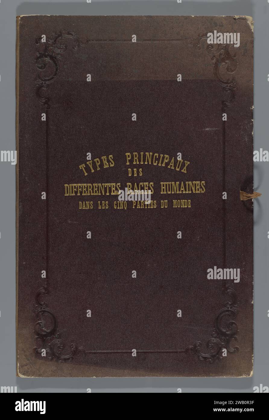 Main types of different human races in the five parts of the world ...