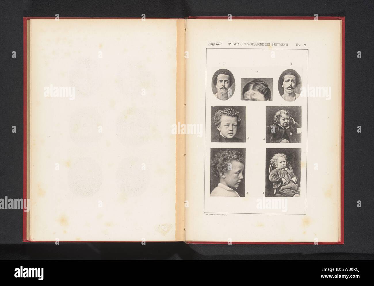 Seven portraits of unknown people and children showing sadness ...