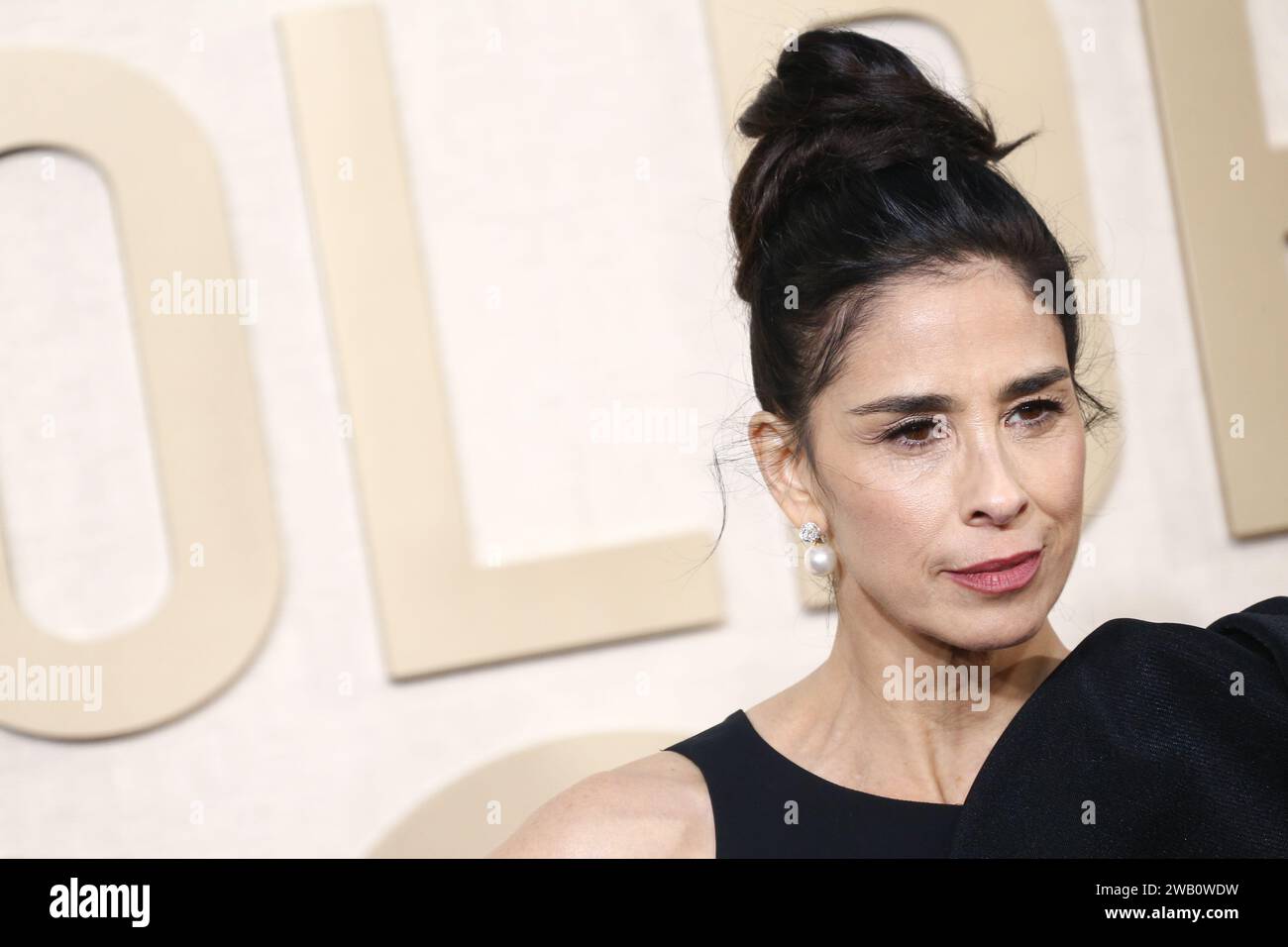 Beverly Hills, United States. 07th Jan, 2024. Sarah Silverman at the ...
