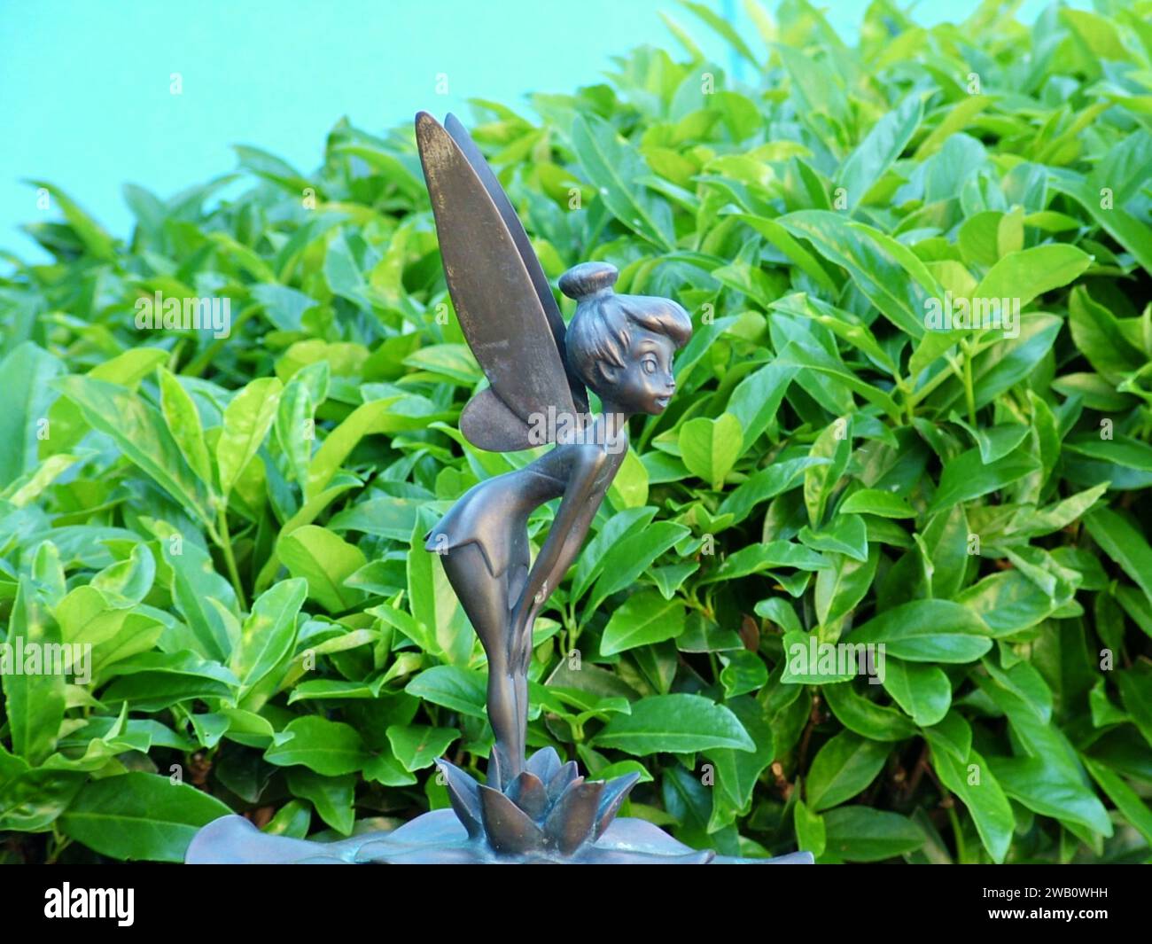 Brass statue of the fairy Tinkerbell in one of the hedges i Disneyland ...