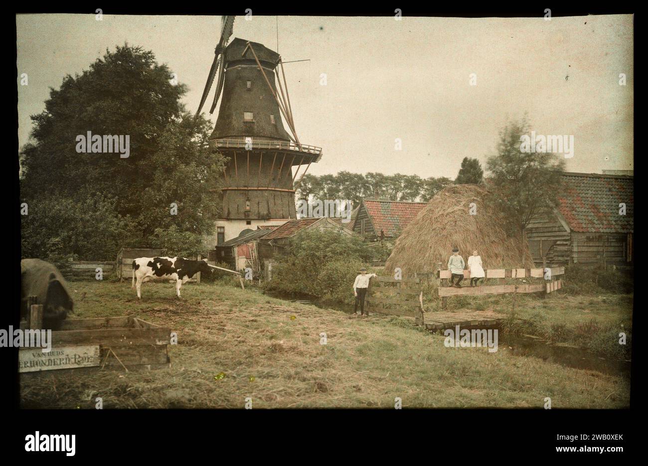 Farm Scene, with a Windmill, Tethered Cow and Posing Children ...