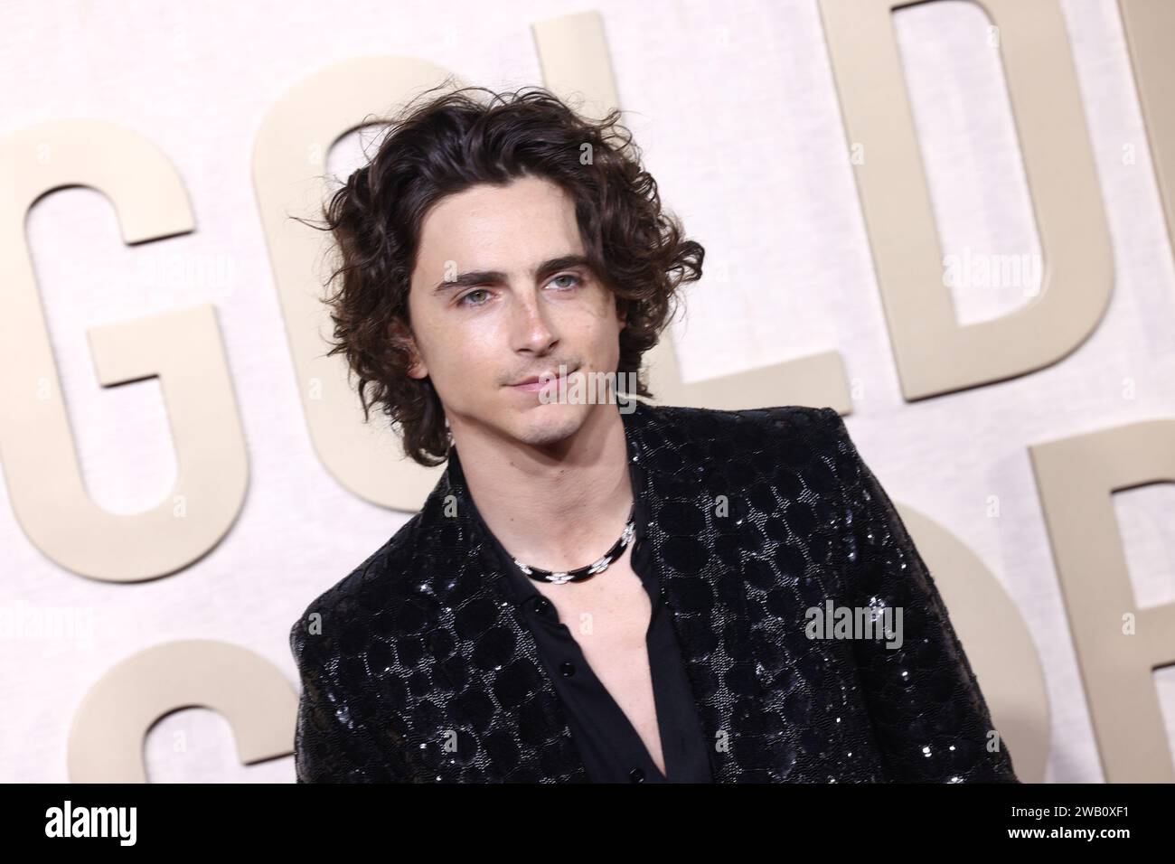 Beverly Hills, United States. 07th Jan, 2024. Timothée Chalamet at the ...