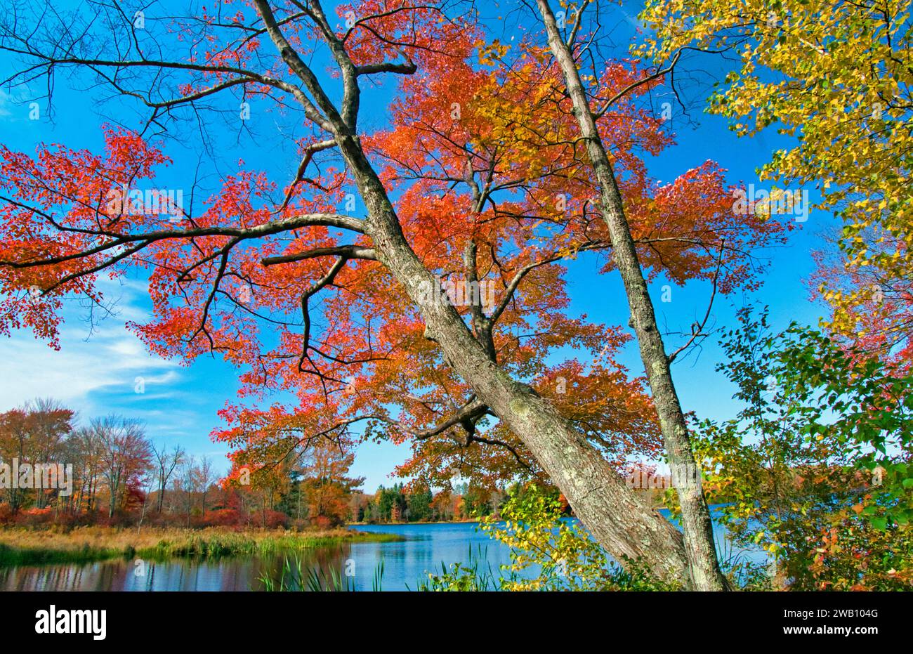 Bradys lake hi-res stock photography and images - Alamy