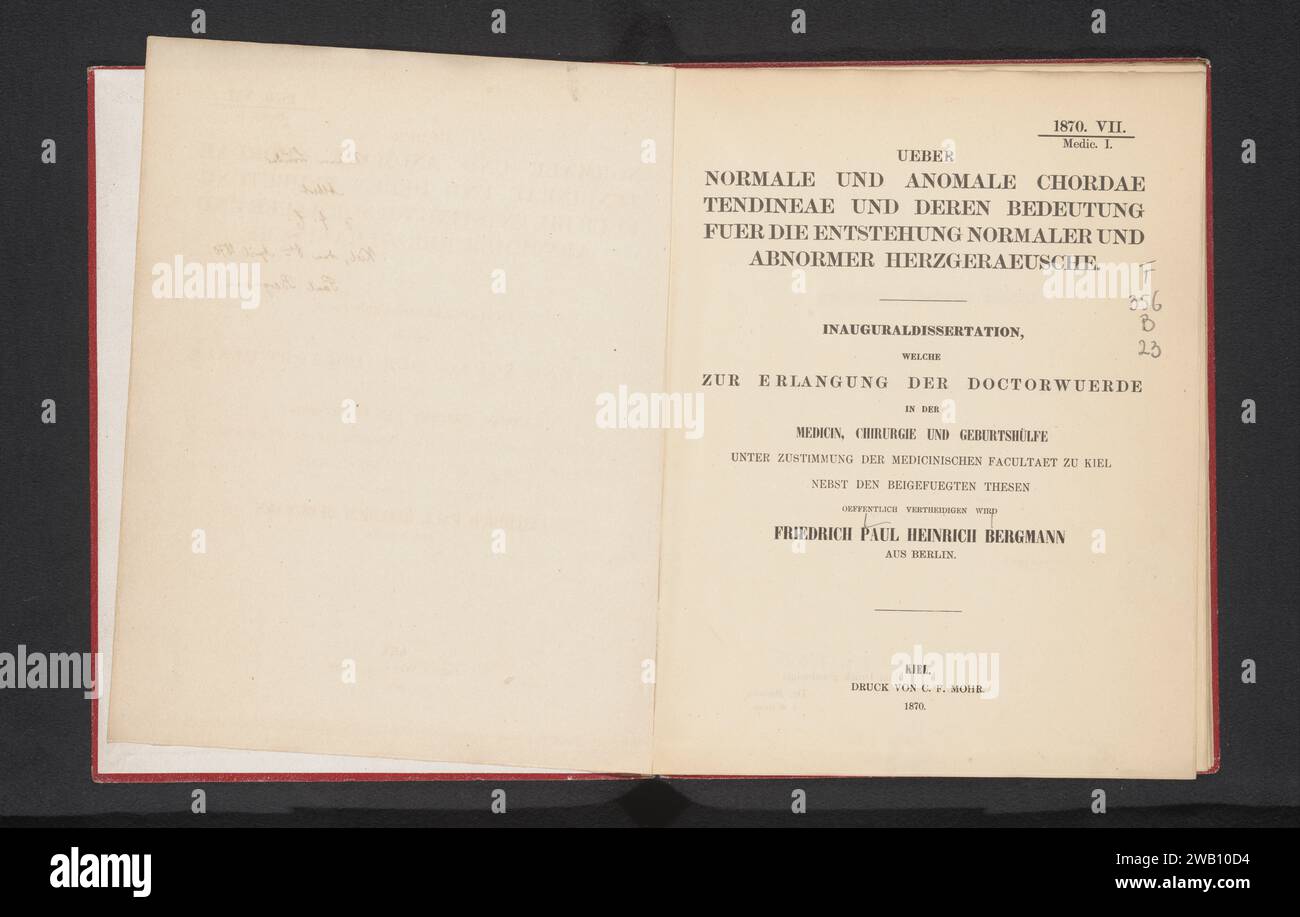 About normal and abnormal chodae tendineae and their importance for the ...