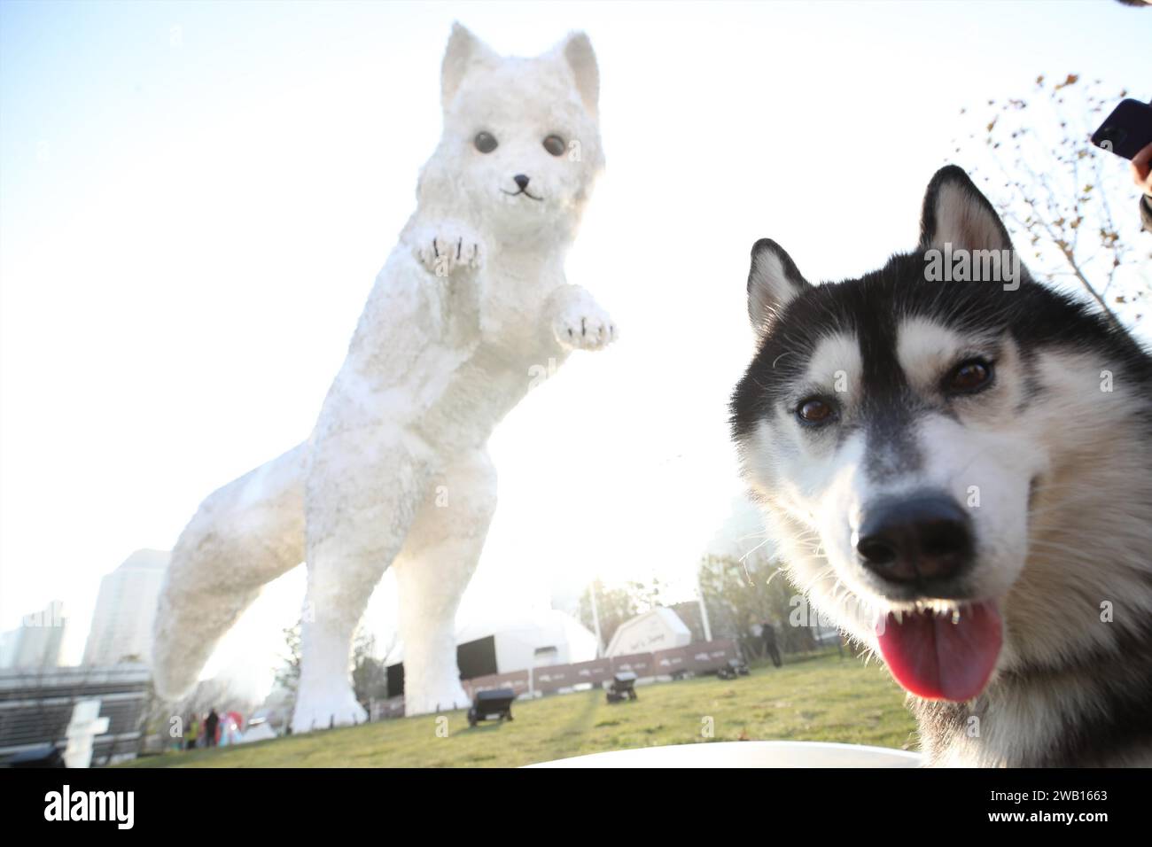 **CHINESE MAINLAND, HONG KONG, MACAU AND TAIWAN OUT** A giant Arctic ...