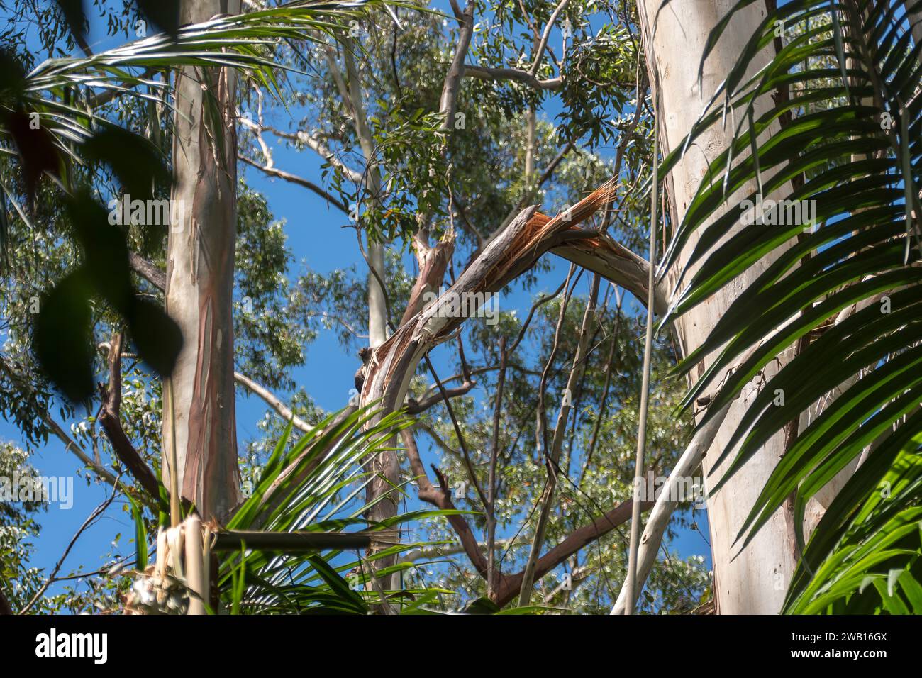 160 km per hour winds hi-res stock photography and images - Alamy