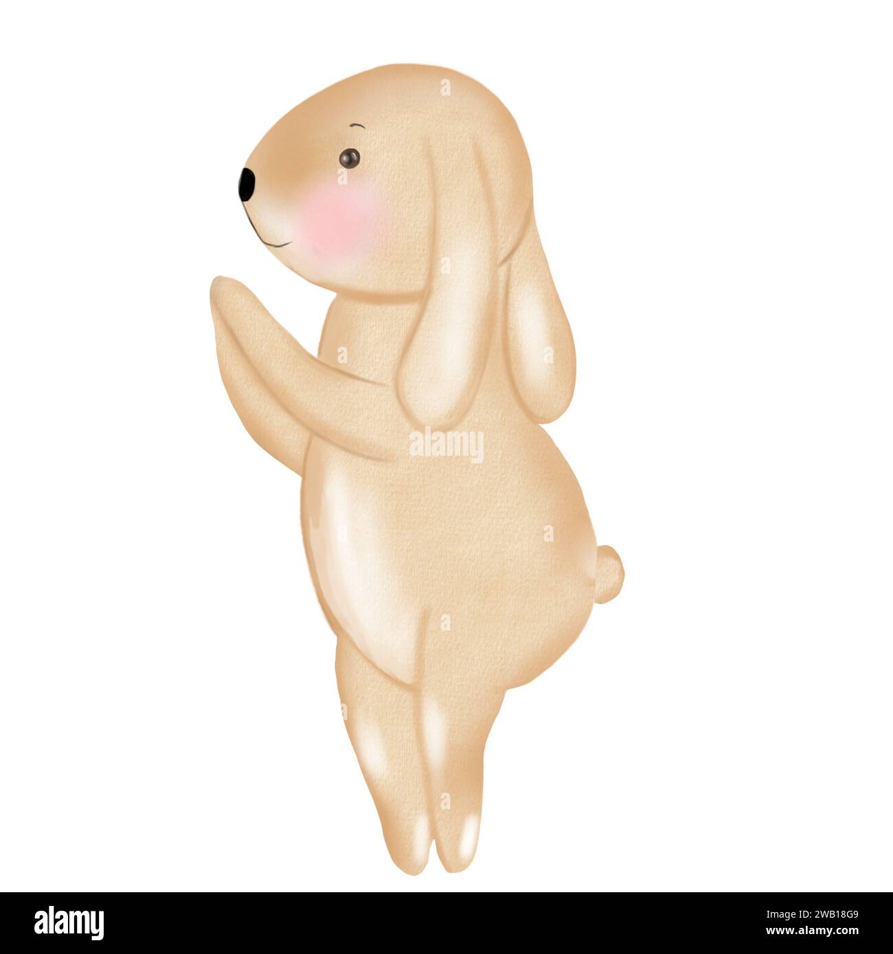 Watercolor illustration of a cute bunny isolate on a white background ...