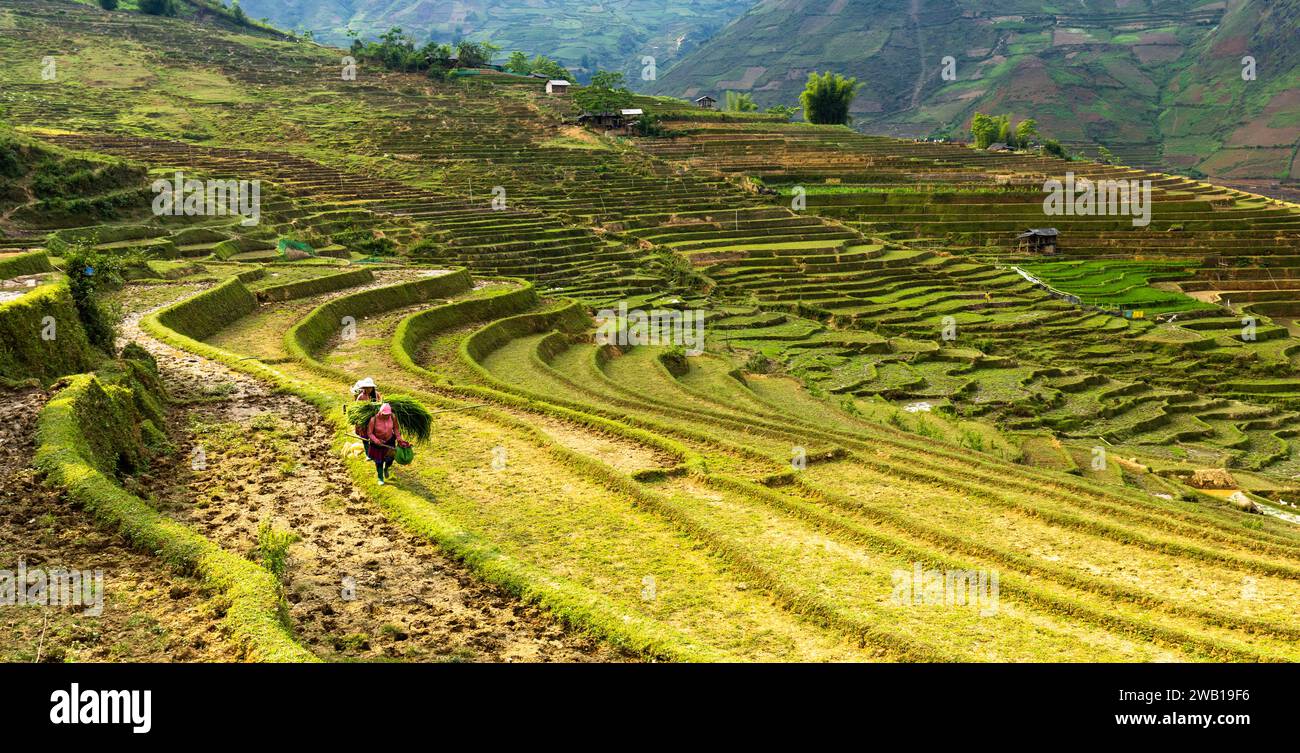 Rive terraces hi-res stock photography and images - Alamy