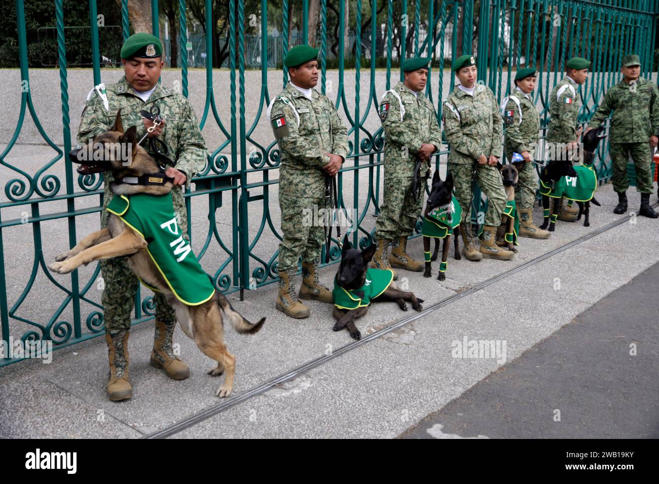 January 7, 2024, Mexico City, Mexico: Canine binomials of the Mexican ...