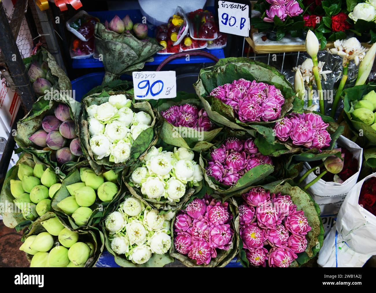 The colorful Pak Khlong Talat ( Flower market ) in Bangkok, Thailand ...
