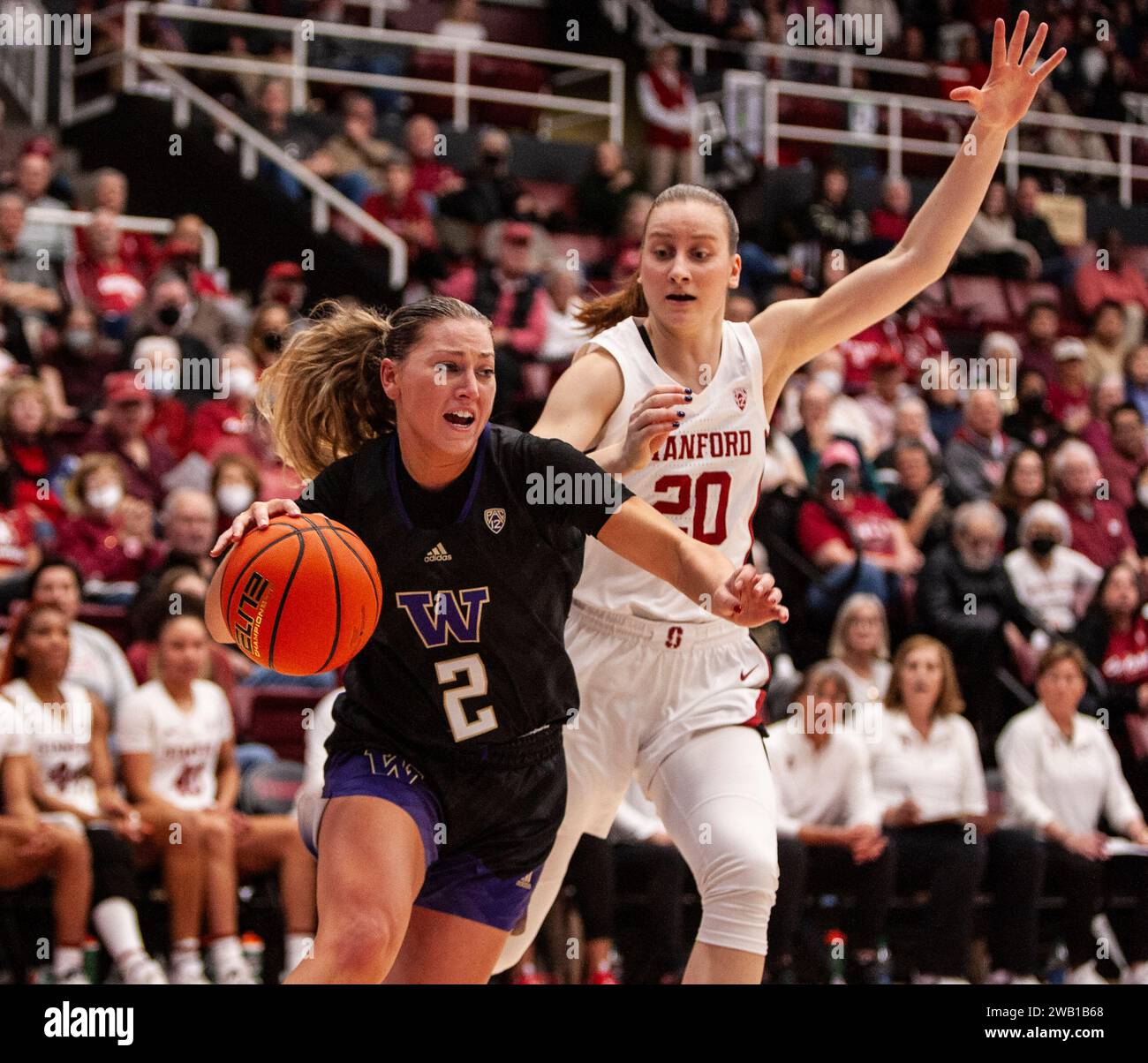 2024 0189 jpg hi-res stock photography and images - Alamy