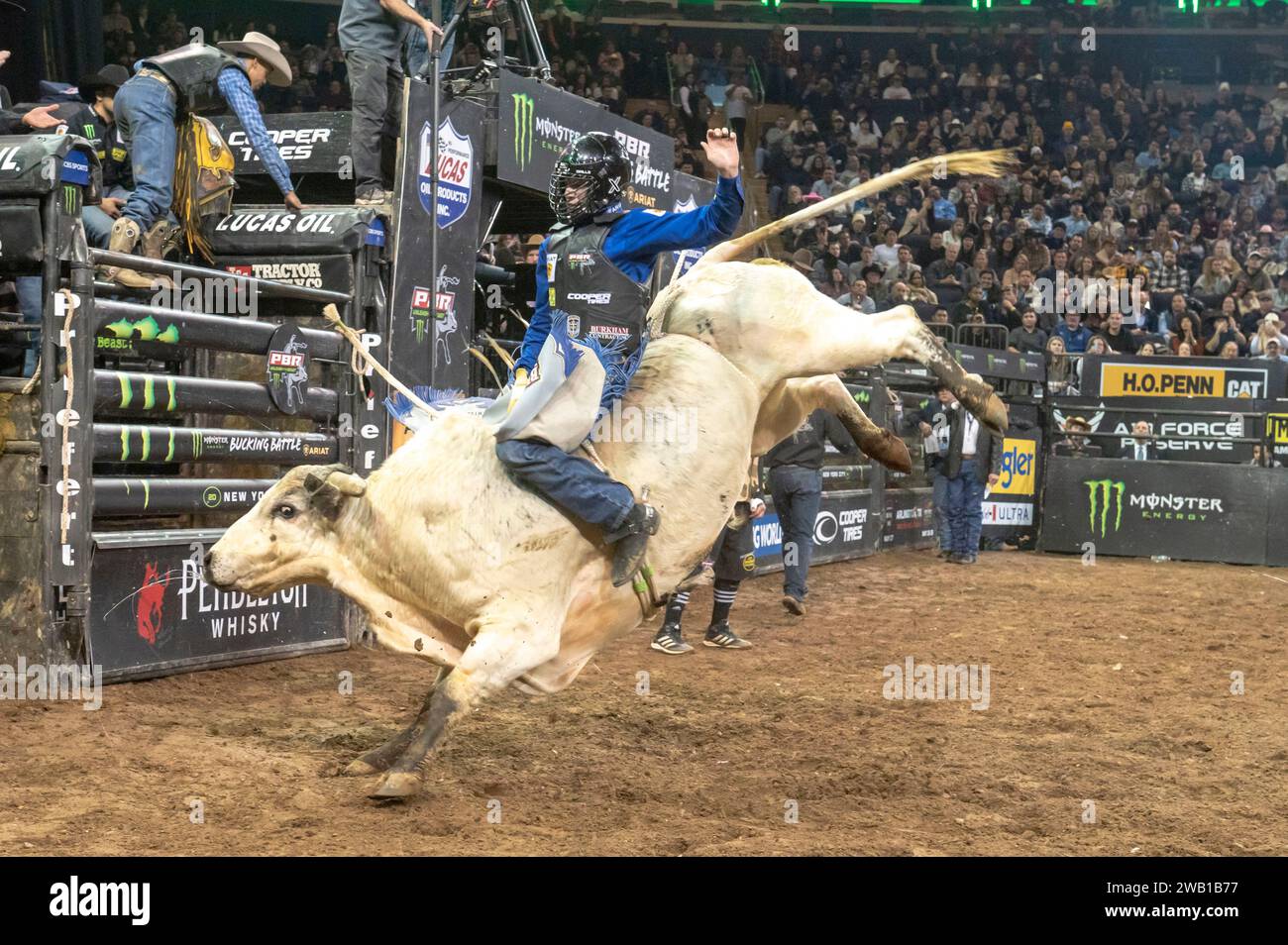 New York, United States. 12th Feb, 2020. NEW YORK, NEW YORK - JANUARY ...