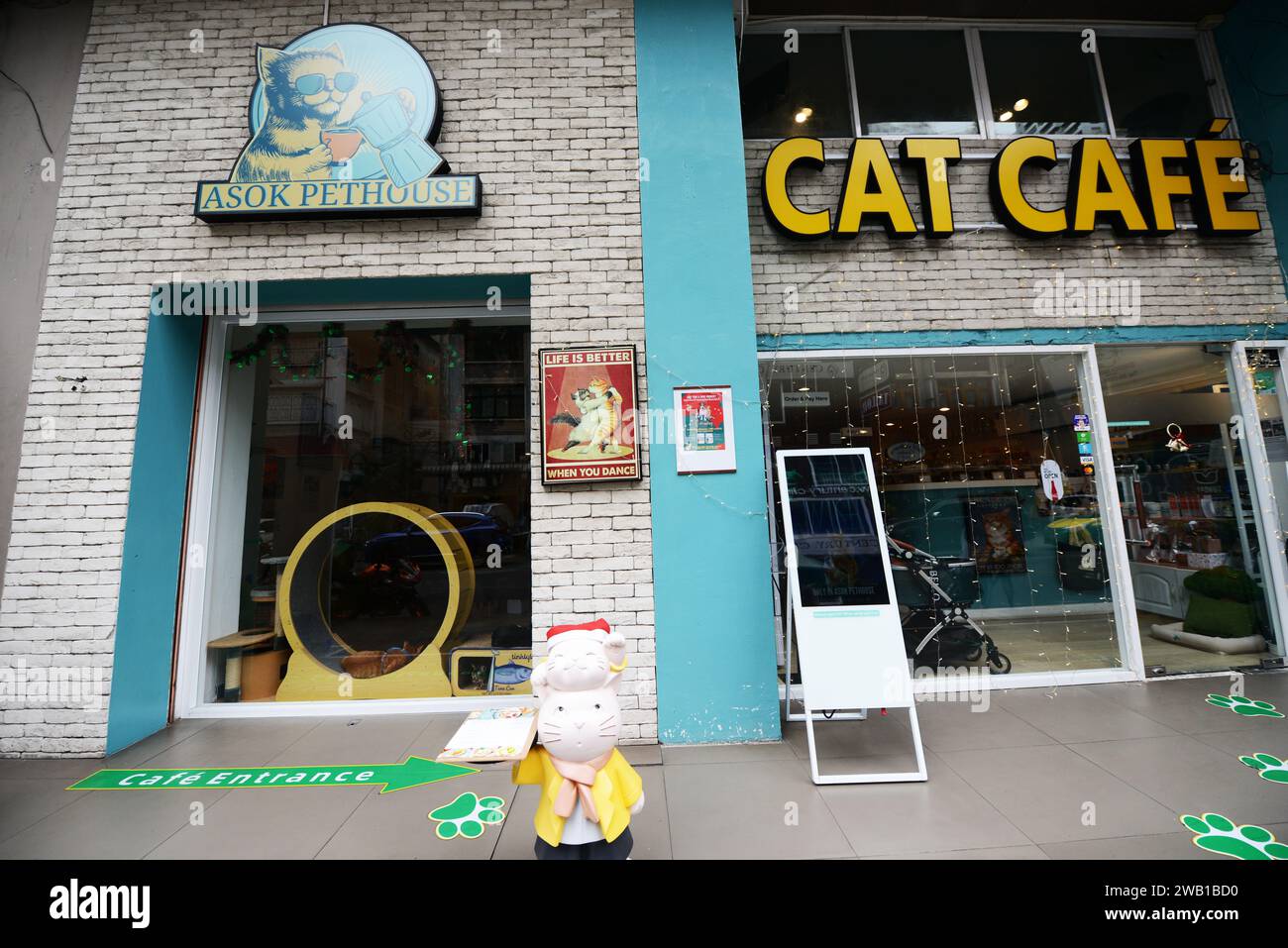 Asok pethouse cat cafe hi-res stock photography and images - Alamy