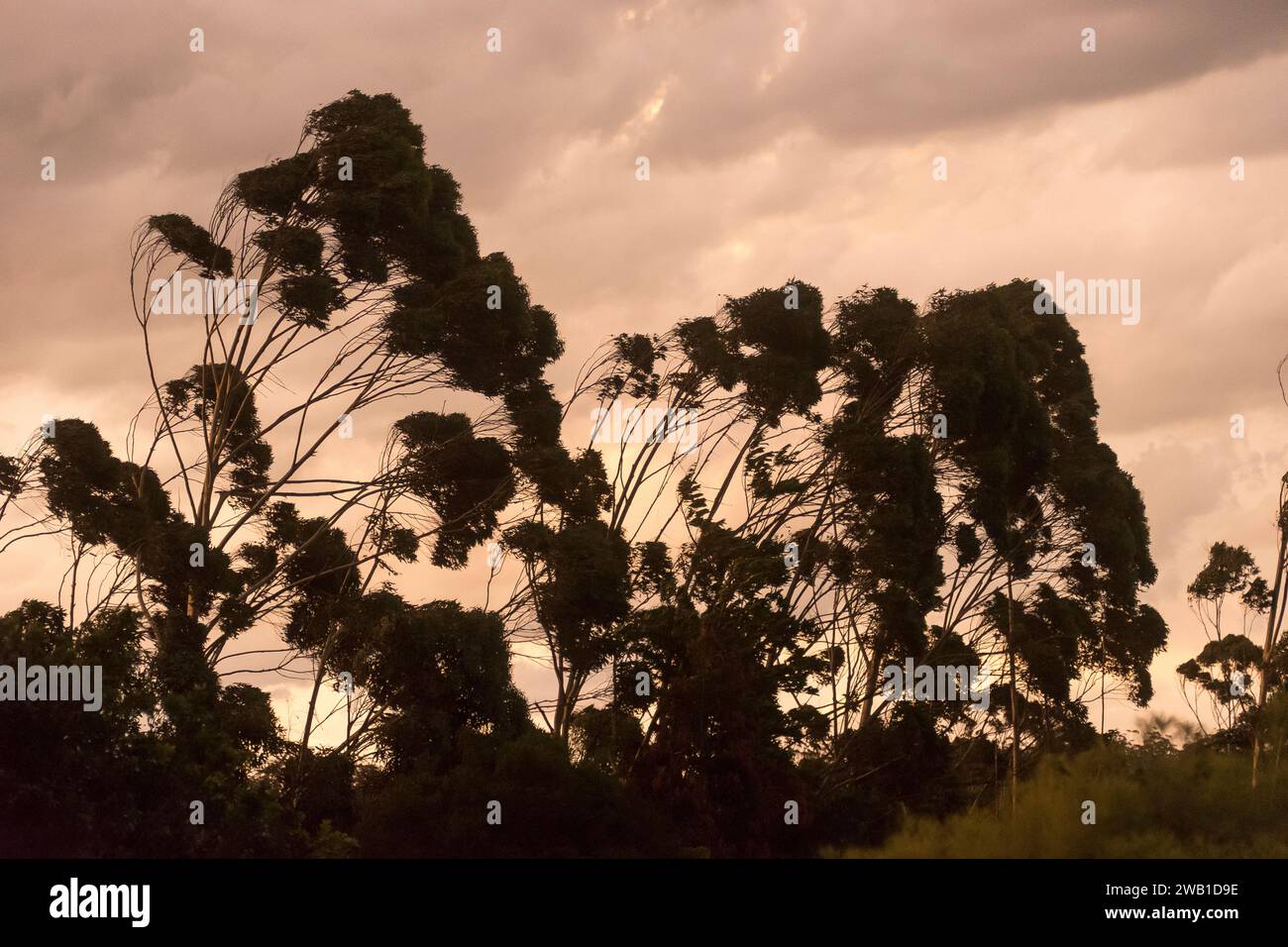 Bending over sideways hi-res stock photography and images - Alamy