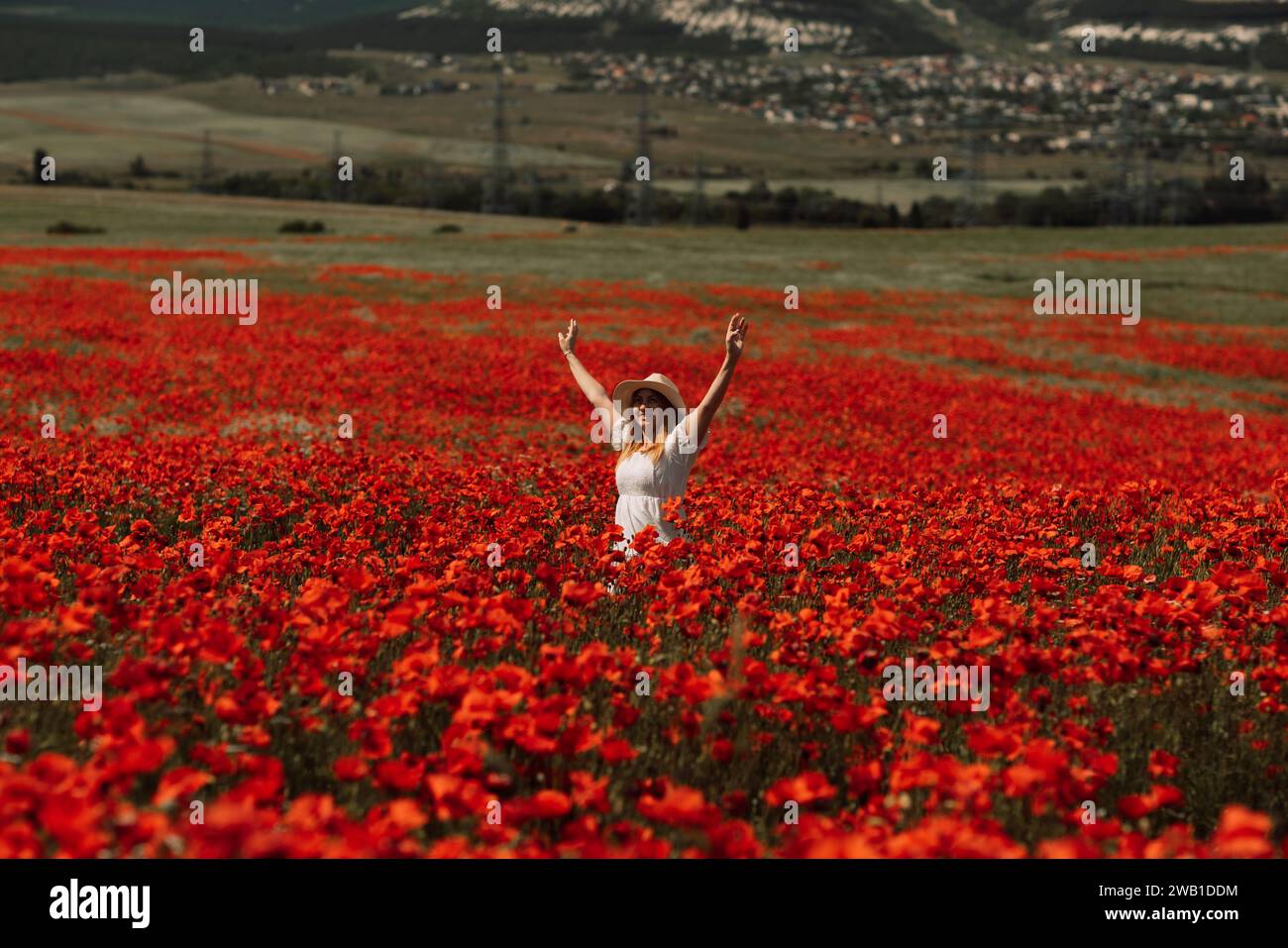 Field poppies woman. Happy woman in a white dress and hat stand through ...
