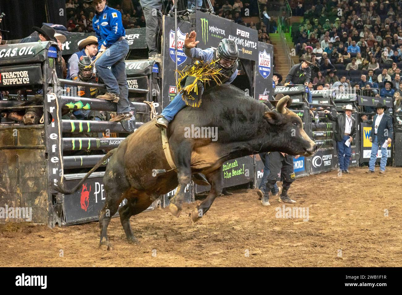 Buffalo chip hi-res stock photography and images - Alamy