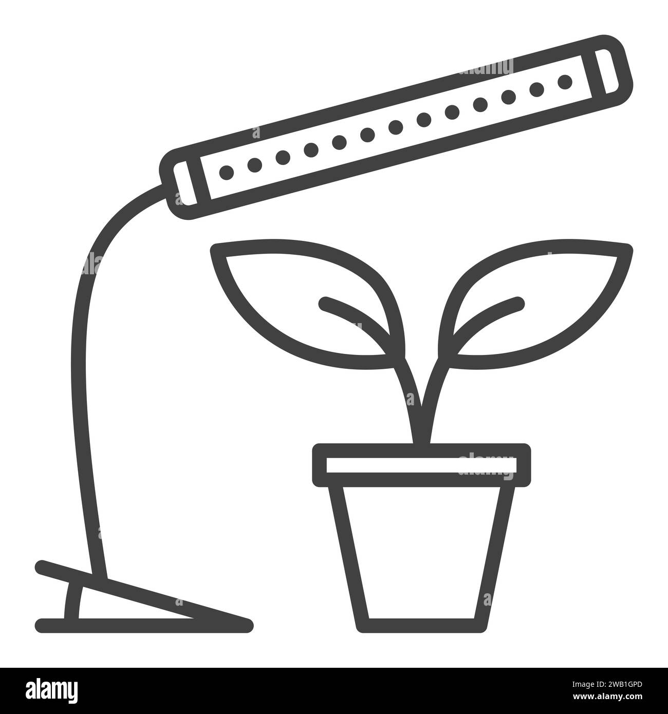 Spotlight in nature Cut Out Stock Images & Pictures - Alamy