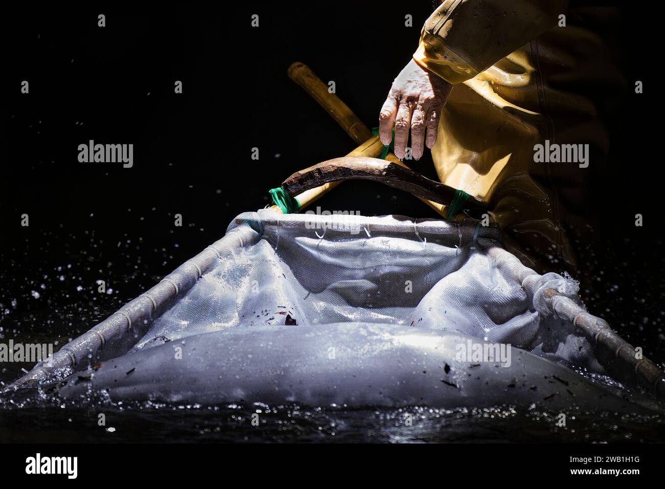 Fishing in taiwan hi-res stock photography and images - Alamy