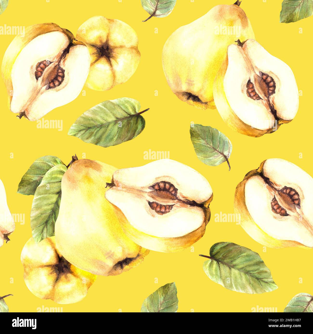 Watercolor hand painted seamless pattern. Yellow juicy quince whole and ...