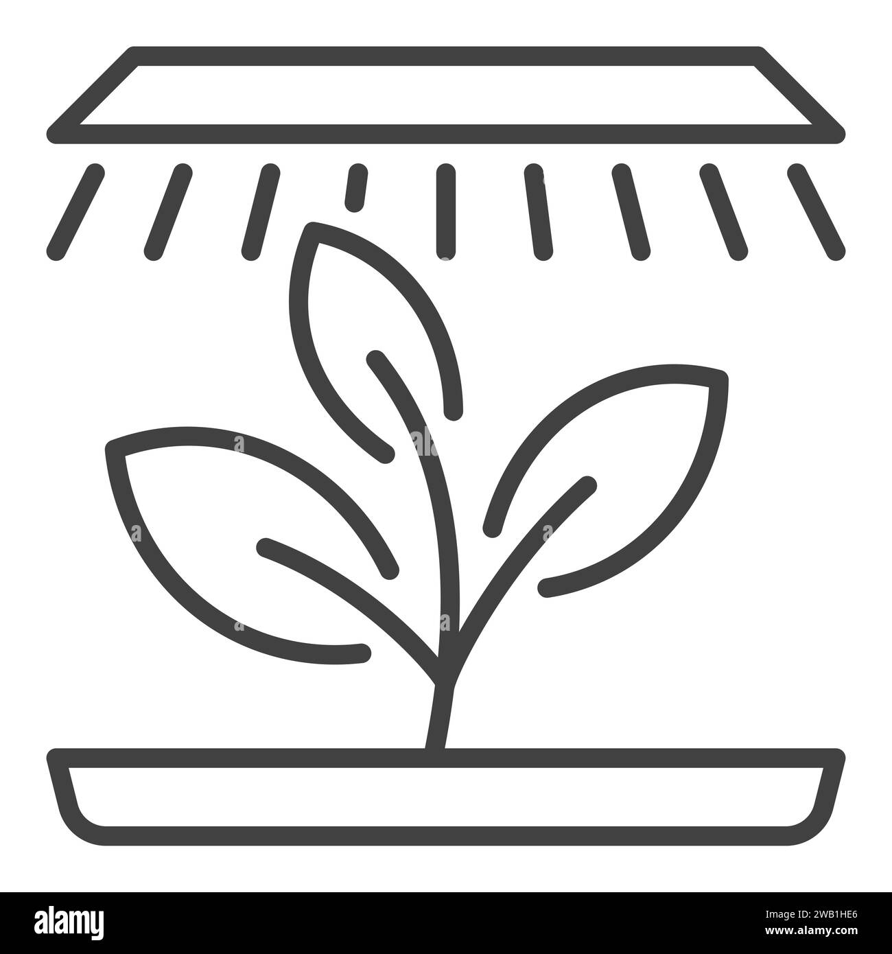 Spotlight in nature Cut Out Stock Images & Pictures - Alamy