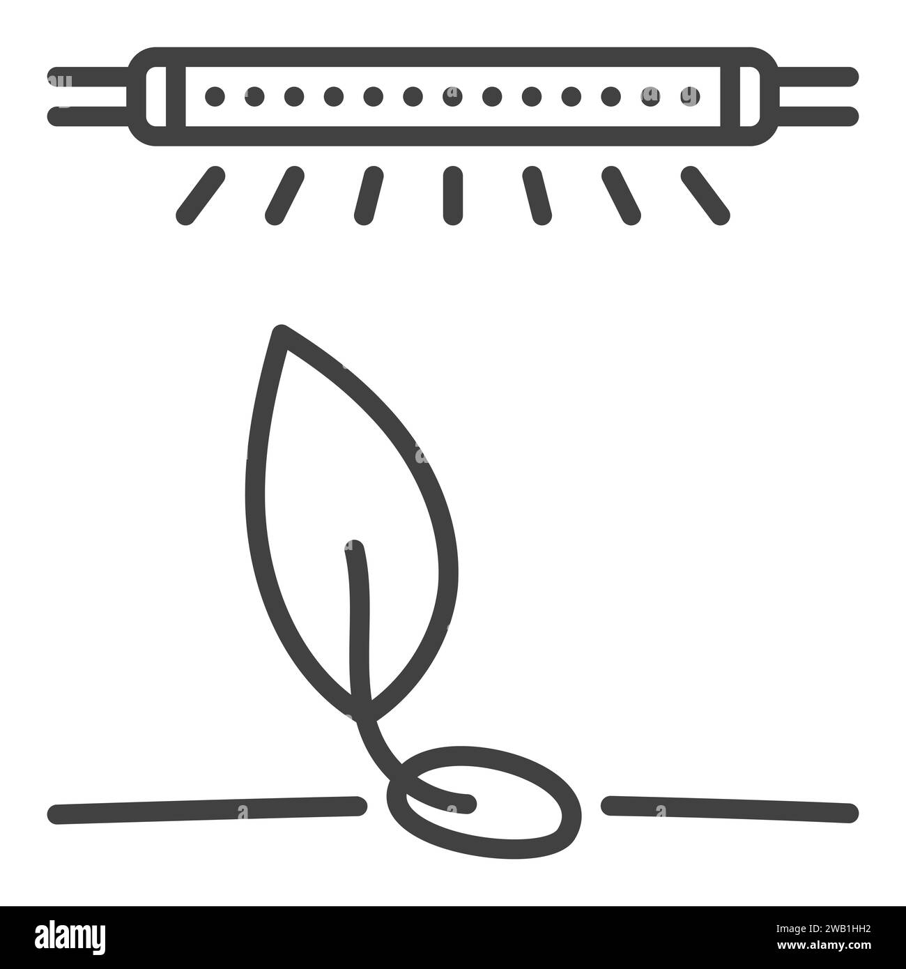 Sprout and Grow Light or Phytolamp vector concept icon or sign in thin ...
