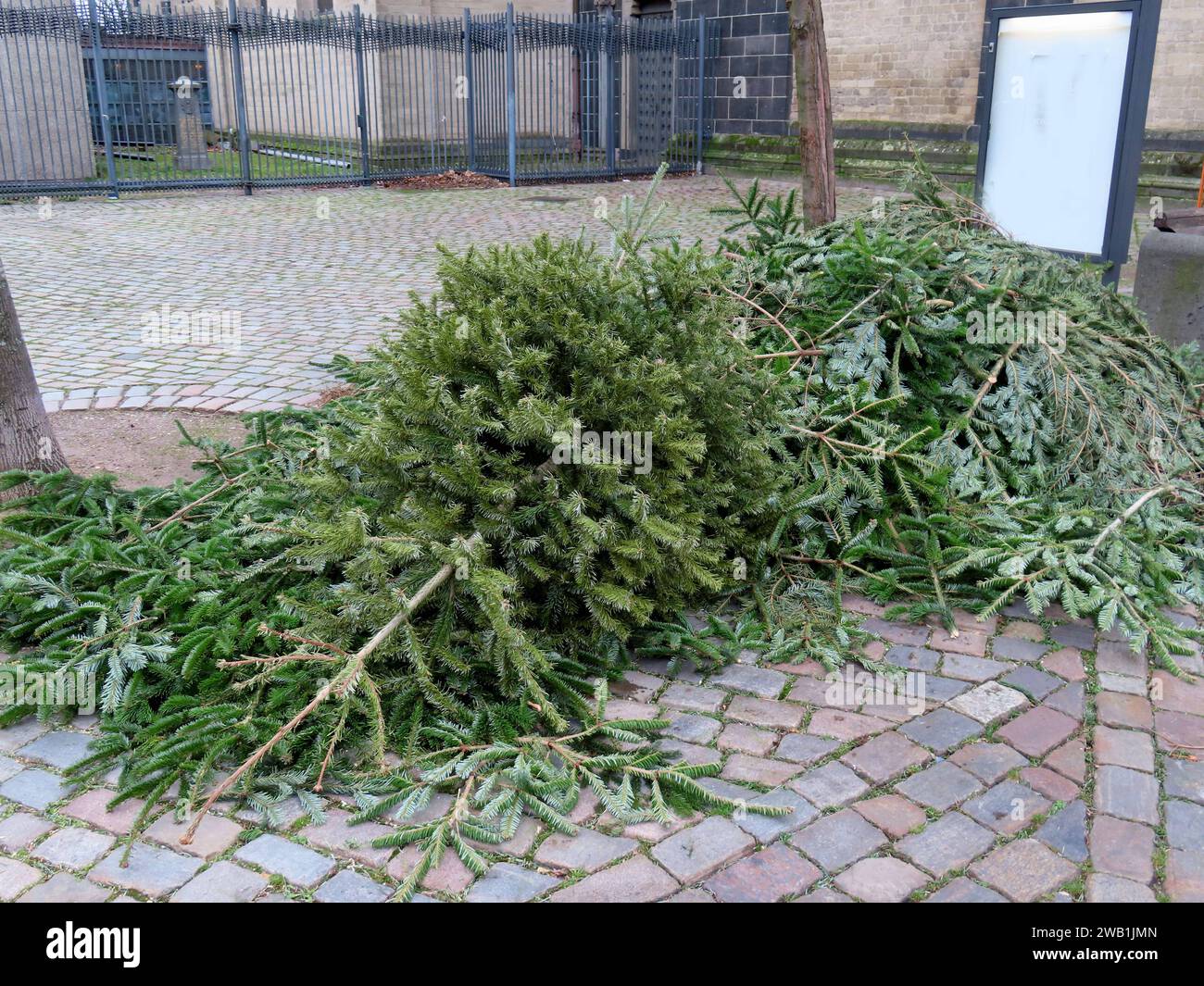Das Ende des Weihnachtsfestes laeutet die Vernichtung der Christbaeume ...