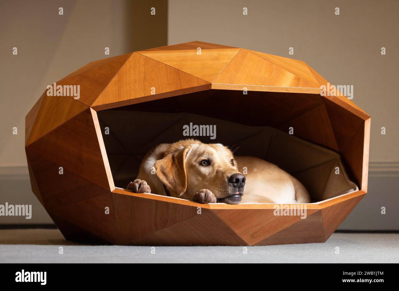 EDITORIAL USE ONLY Bob the Labrador in Foster + Partners' Dome-Home ...