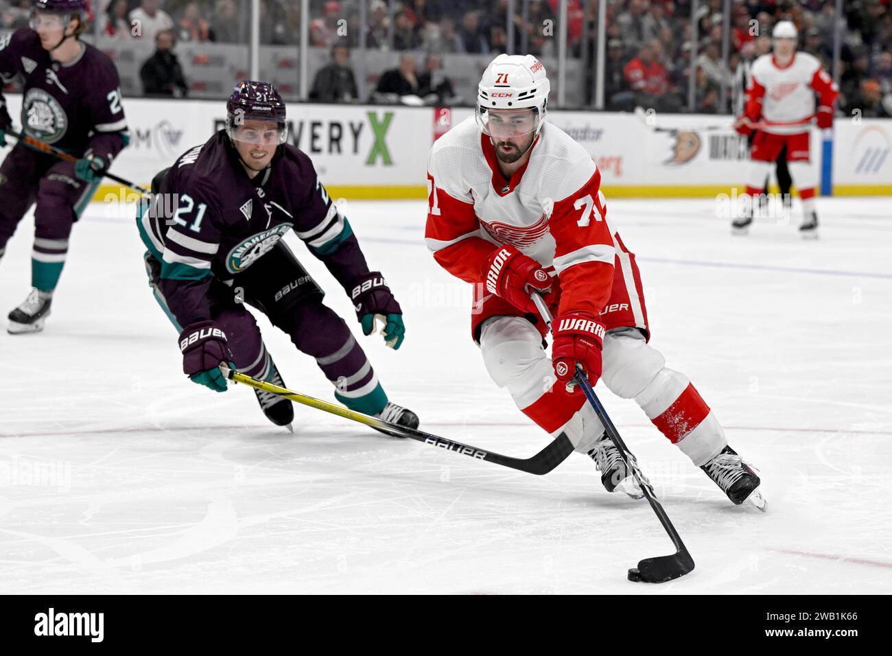 Detroit Red Wings center Dylan Larkin (71) controls the puck against Anaheim Ducks center Isac ...