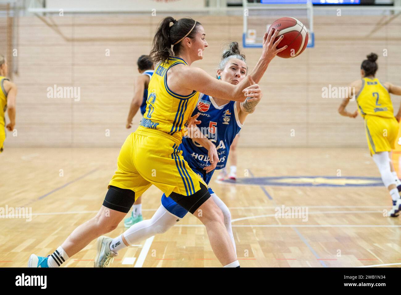 Halle, Deutschland. 07th Jan, 2024. Halle, Deutschland 07. Januar 2024: ...