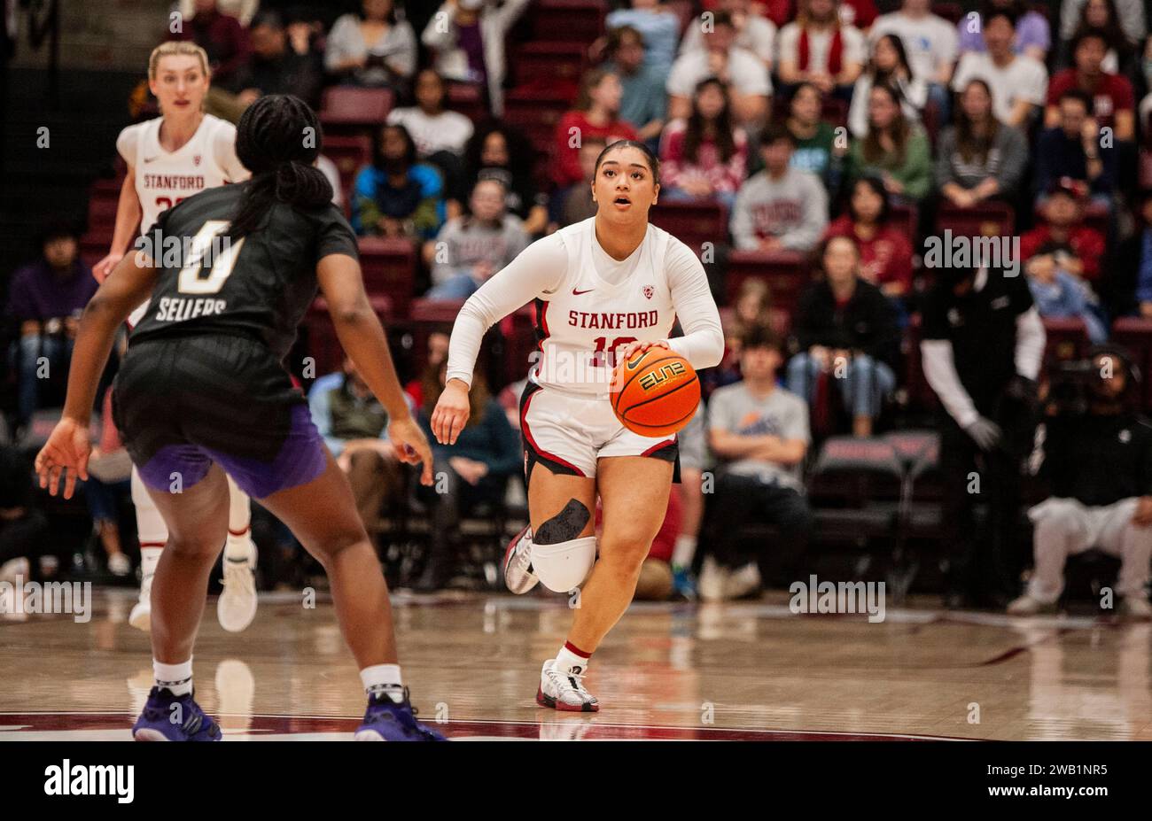 2024 0439 jpg hi-res stock photography and images - Alamy