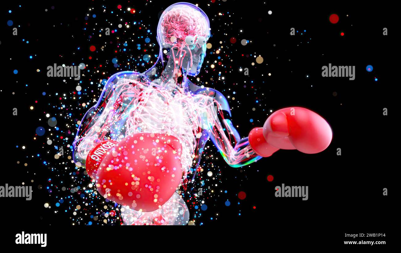 Abstract 3D anatomy of a man boxing Stock Photo - Alamy