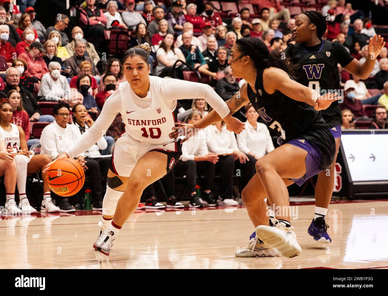 2024 0449 jpg hi-res stock photography and images - Alamy