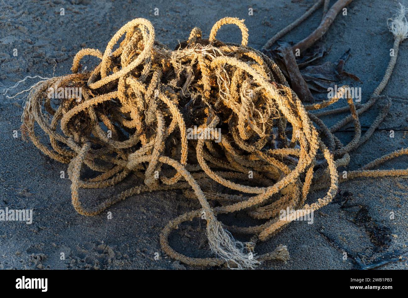 Old rope washed up contaminating Ballywalter beach Stock Photo - Alamy